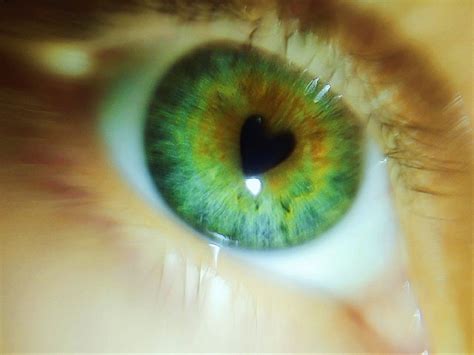 Сердце Inst Fucattsumi Aesthetic Eyes Green Eyes