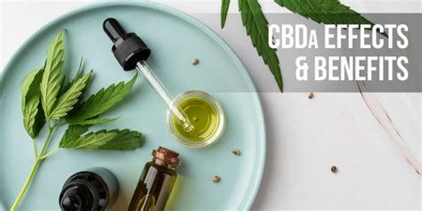 Cbda Effects And Benefits Ape Premium Cannabis
