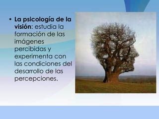 Psicología De La Percepción Pptx