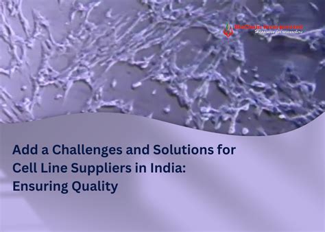Challenges And Solutions For Cell Line Suppliers In India Ensuring Quality