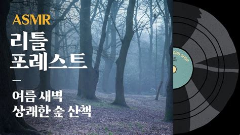 🎧asmr 여름 새벽의 상쾌한 숲속 산책길따사로운 햇살시원한 시냇물과 더위를 식혀주는 소나기비 갠 후의 숲속 분위기 리틀포레스트 자연풍경 마음이차분해지는 Youtube