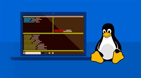 Alasan Menggunakan Os Linux • Pt Dieng Cyber Indonesia Alasan Menggunakan Os Linux • Pt Dieng Cyber Indonesia