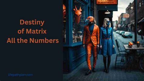 Discover Your Core Matrix Number Life Path