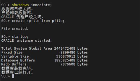 oracle19c adg搭建 oracle 19c adg搭建详细步骤 csdn博客