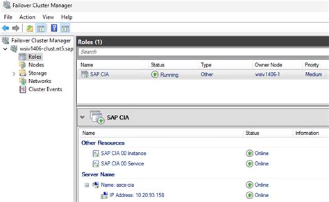 How To Move A Clustered Sap System Into Another Do Sap Community