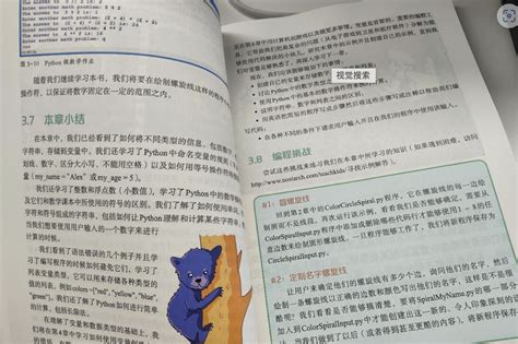 少儿编程大变天信奥赛不再允许小学生参加 孩子还要不要学Python C 知乎