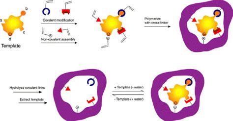 Synthesis Of Mips 100 Reproduced With Kind Permission Of The Author
