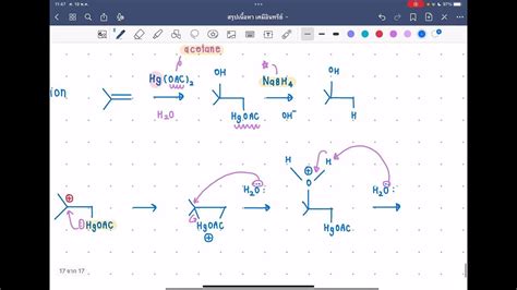 เคมีอินทรีย์ ปฏิกิริยา Hydroboration Oxymercuration และ Hydrogenation