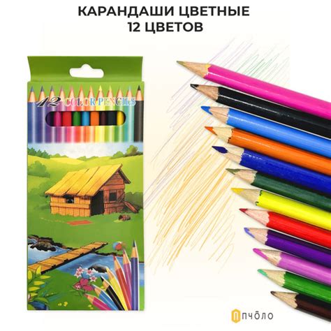 Набор карандашей ПЧОЛО Карандаши цветные 12 цветов Color Pencils салатовый купить с