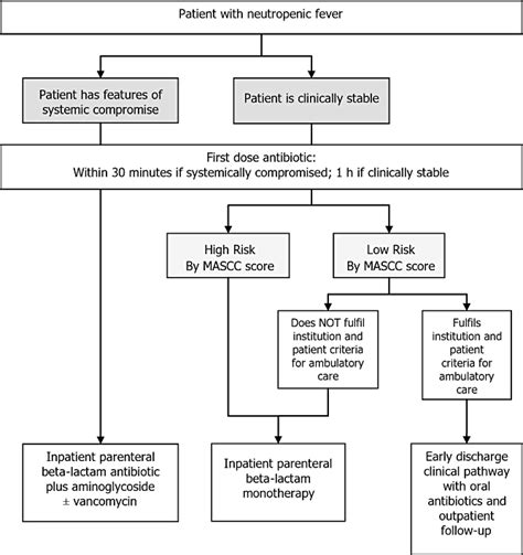 875 Patient Evaluation Risk Assessment And Initial Management Of Febrile Neutropenia Eviq