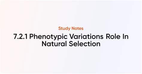 Resources Platform Tutorchase