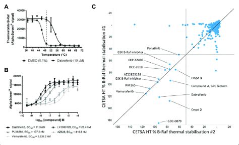 A Cetsa Ht Assay To Screen For Intracellular B Raf Target Engagement