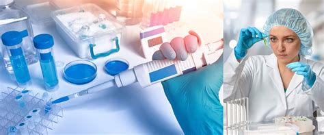 The Importance Of Organizational Design For Smes Allagi Organisation Design