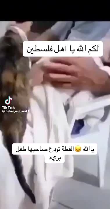 mohamed karim dahmani posted on linkedin