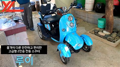 연로하신 부모님을 위한 효도 선물로 추천드리는 안전하고 고급스러운 2인승 4륜 노인 전동 스쿠터 루이 첫 주행 영상 경남