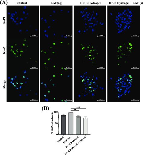 Heparin Based Hp B Hydrogel Decreases Breast Cancer Cell