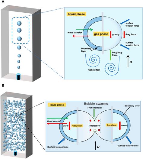Frontiers Bubble Mass Transfer In Fluids Under Gravity A Review Of