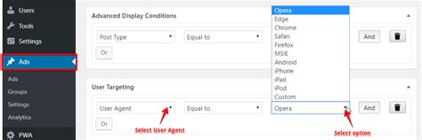 What Is User Targeting Condition In Adsforwp Ads For Wp Documentation