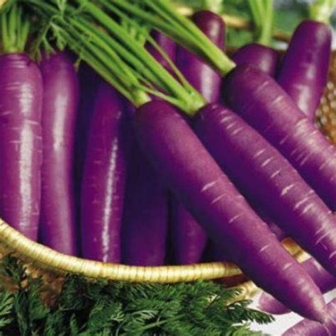 Purple Carrots Purple Carrot Purple Food Carrots