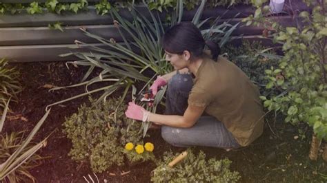 Why Gardening Is The Perfect Exercise For Physical Health Arborlush65