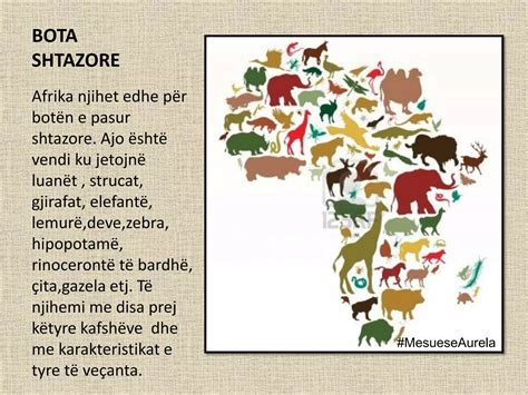 Kontinenti Afrikan Pptx