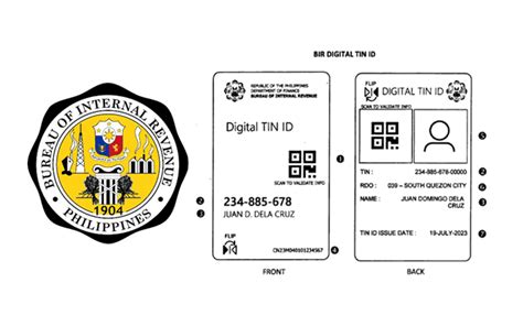 Guide How To Apply For A Digital Tin Id Its More Fun With Juan