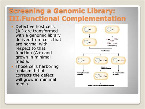 Ppt Recombinant Dna Technology Powerpoint Presentation Free Download Id1251013