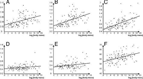 Figure 2 From Accumulation Of Slightly Deleterious Mutations In Mitochondrial Protein Coding