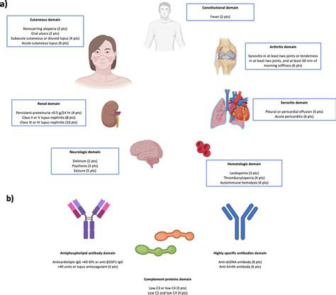 Clinical A And Immunologic B Domains Of Eular Acr Classification Download Scientific