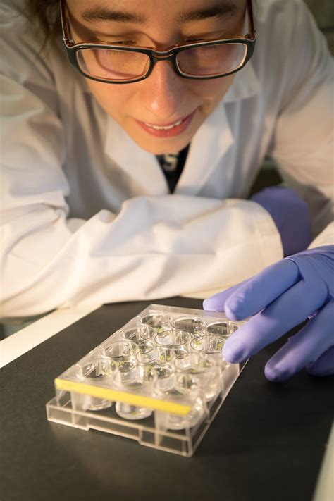 Plant Science Lab University Of Dundee Photo Team