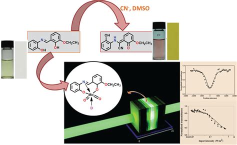 A Schiff Base Colorimetric Chemosensor For Cn‐ Ion And Its Dioxidomolybdenum Vi Complexes