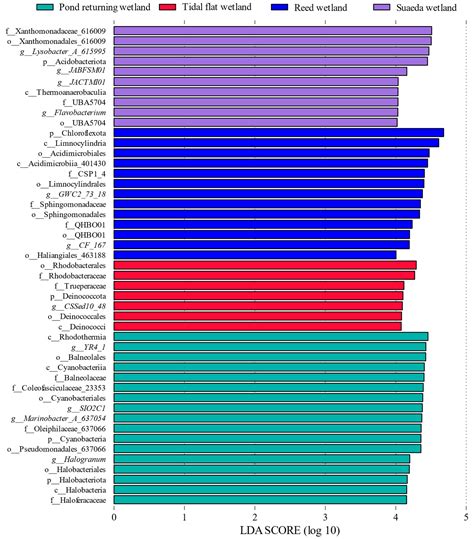 Structure and Function of Soil Bacterial Communities in the Different Wetland Types of the ...