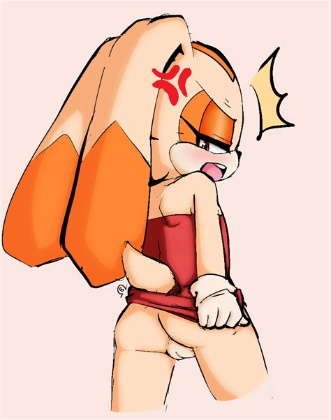 Post 7156340 Blaski Creamtherabbit Jupiterorange Sonicthehedgehog