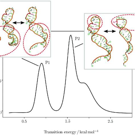 Heat Capacity Curve For The Unmodified Rna Stem Loop Heat Capacity Download Scientific Diagram