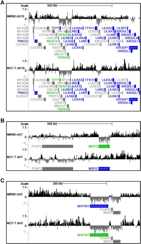 The Histone Variant Macroh2a1 Marks Repressed Autosomal Chromatin But Protects A Subset Of Its