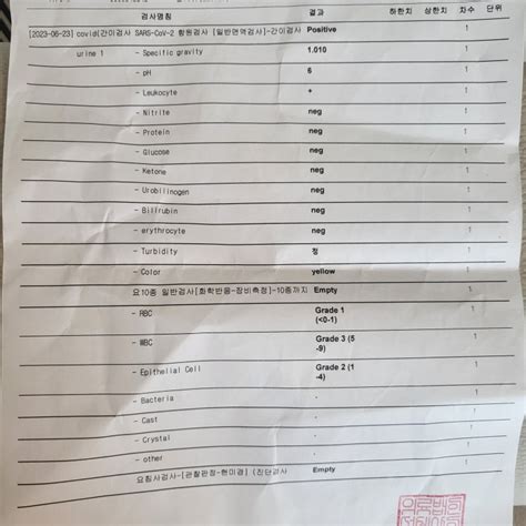 요로감염 검사결과 해석 부탁드립니다 지식in