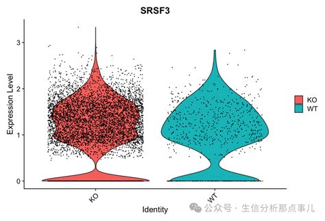 干货：seurat里vlnplot小提琴图怎么添加显著性 知乎