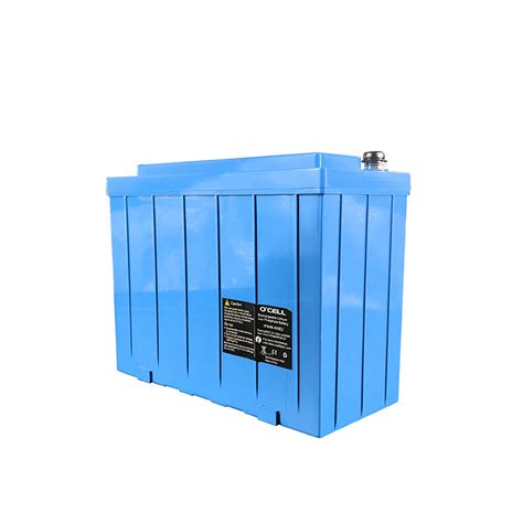bms 관리 시스템과 함께 48v 40ah lifepo4 배터리