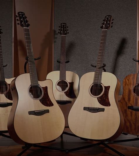 Ibanez guitars