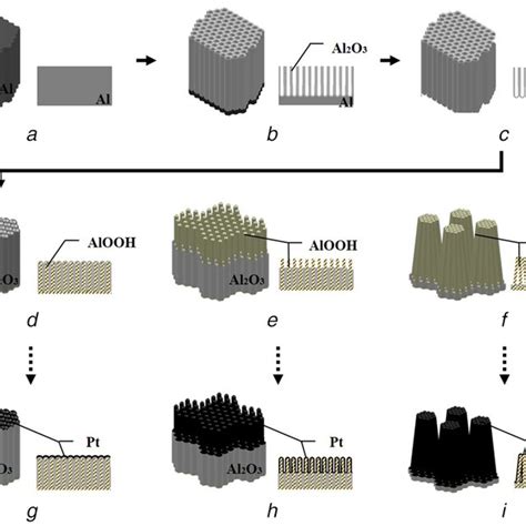 Fabrication Process Of Nanolens And Nanopillar Arrays A Preparation Of Download Scientific