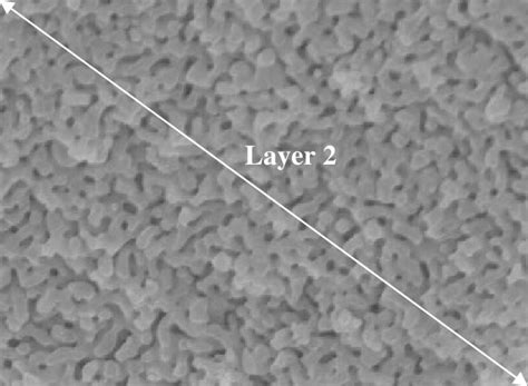 Figure A1 Scanning Electron Micrograph Of The Cross Section Of A