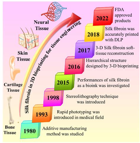 3d Bioprinting Has Evidenced Significant Development And Potential Download Scientific Diagram