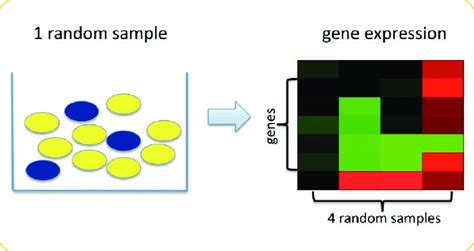 Stochastic Profiling For A Randomly Chosen Sample Of A Few Cells The