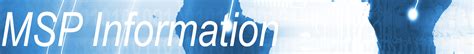 Msp Information Amoskeag Consulting Group Llc