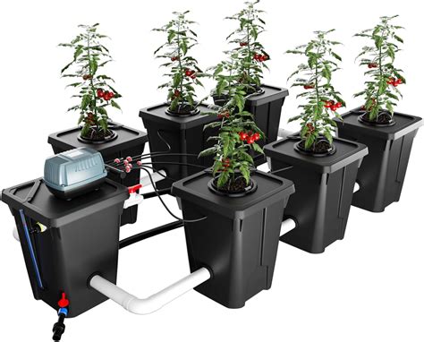 Rdwc Hydroponics Grow System 6 Standorte Reservoir 28 L Top Drip