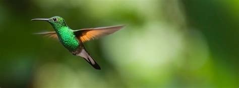 Scrum The Revolutionary Agile Framework