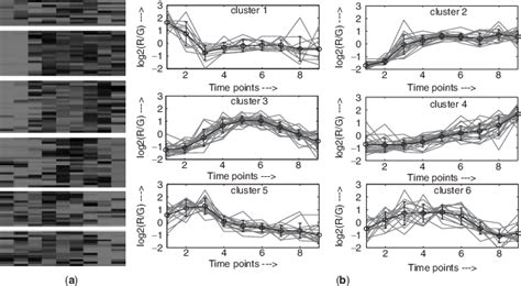 Human Fibroblasts Serum Data Clustered Using The Proposed Simm Ts