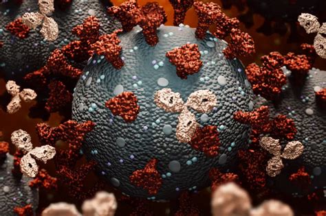 Serology Lifeline Diagnostics Supplies Inc