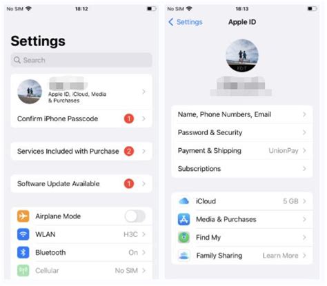 Pro Tips To Check ICloud Activation Lock Status On IPhone IPad