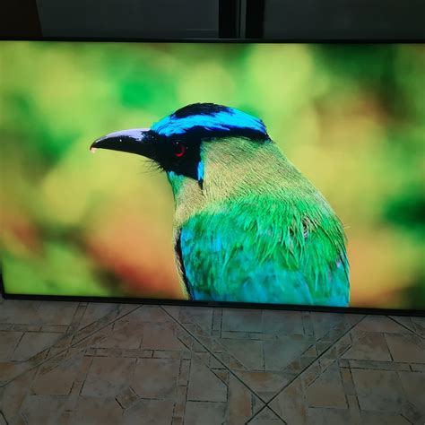 Sony 55" Smart TV, TV & Home Appliances, TV & Entertainment, TV on ...